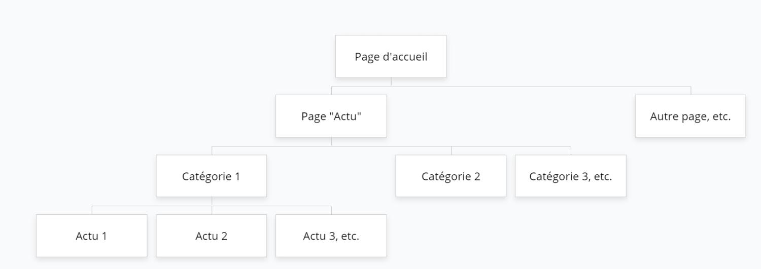 Arborescence d'un site web : exemple & infos