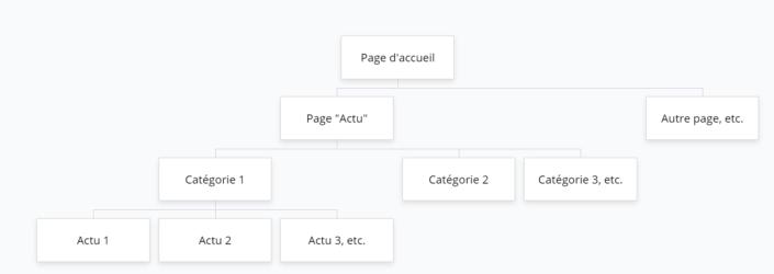 Arborescence d'un site web : exemple & infos